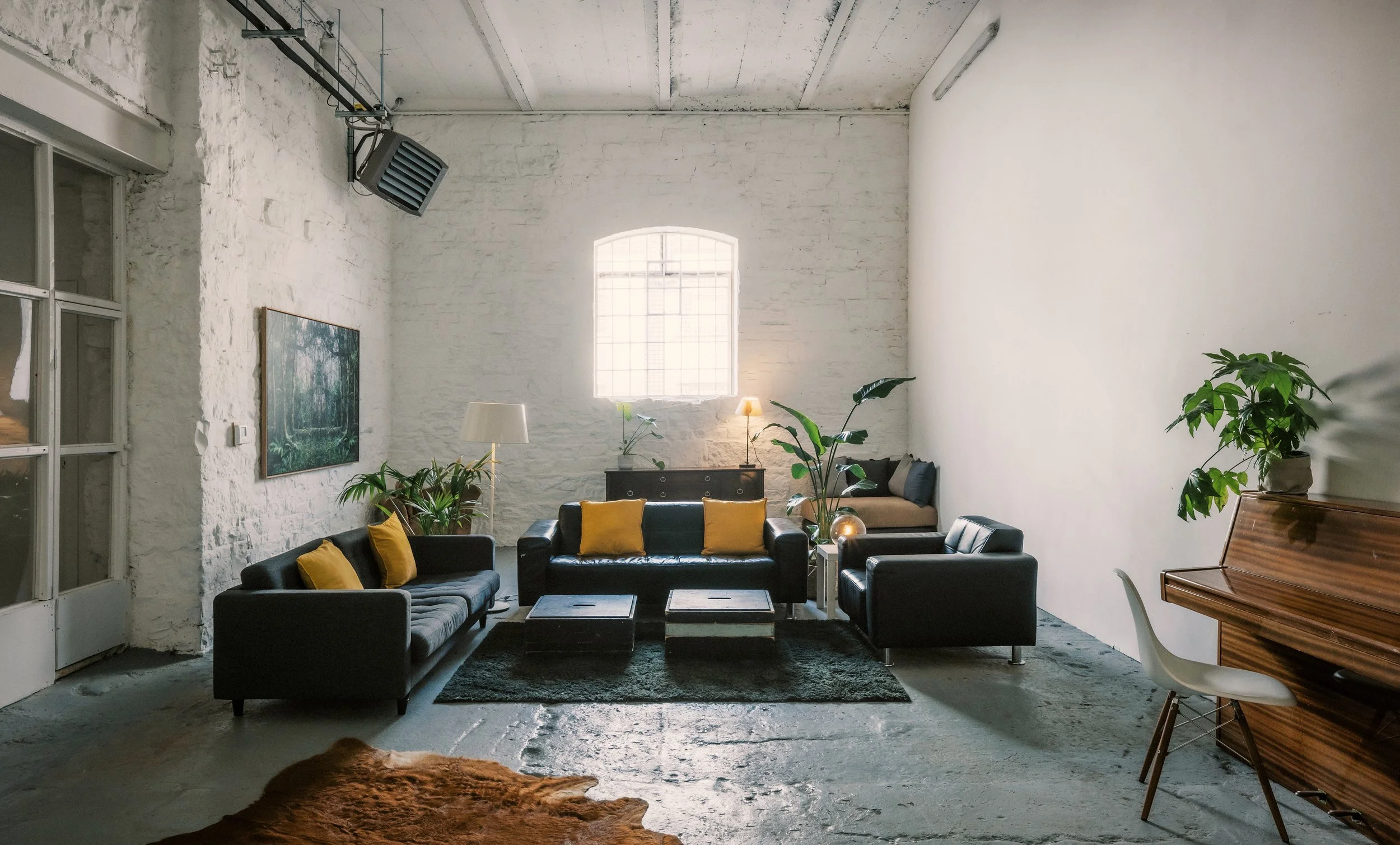 D-Light Studios