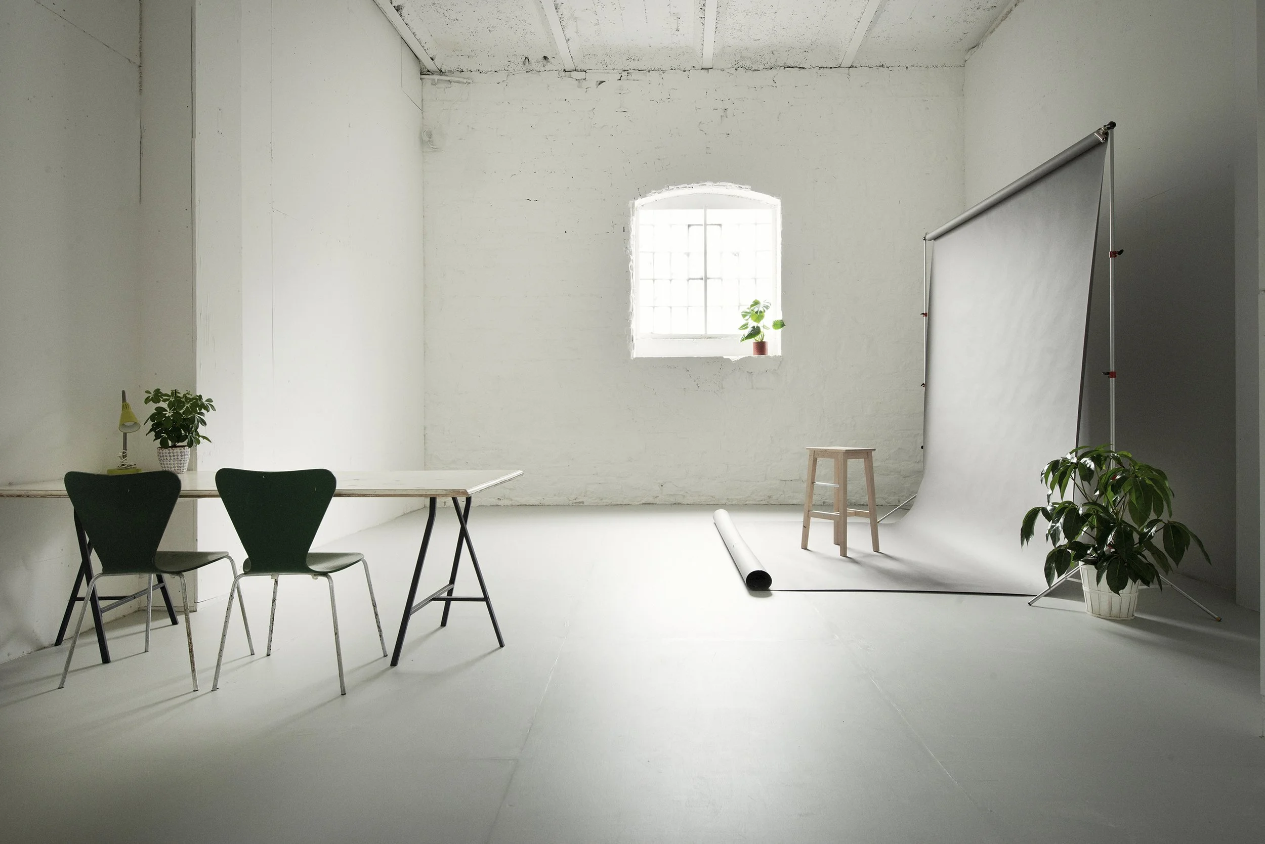 D-Light Studios