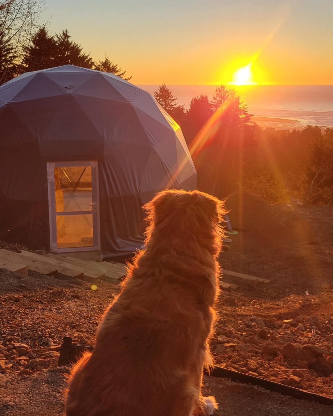 Book Your Stay — Two Capes Lookout