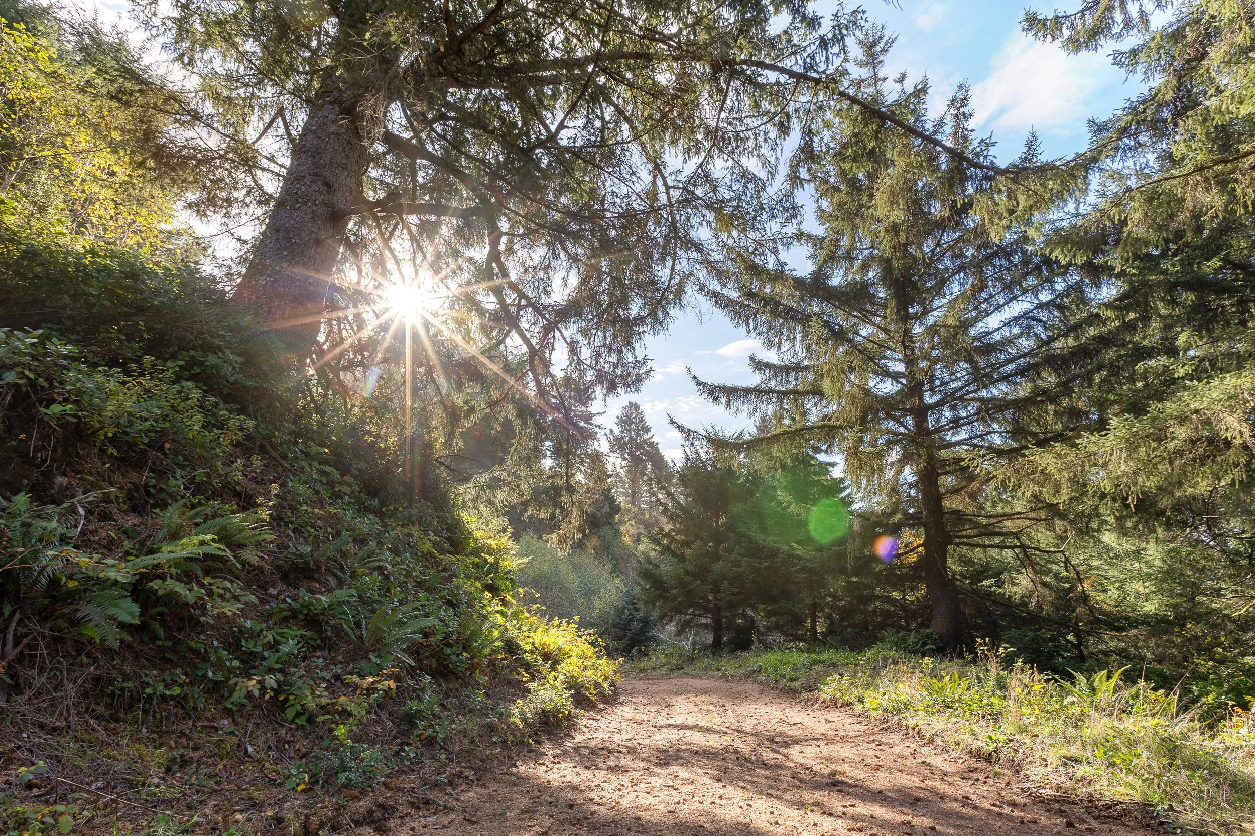 Luxury camping booking Oregon Coast — Two Capes Lookout
