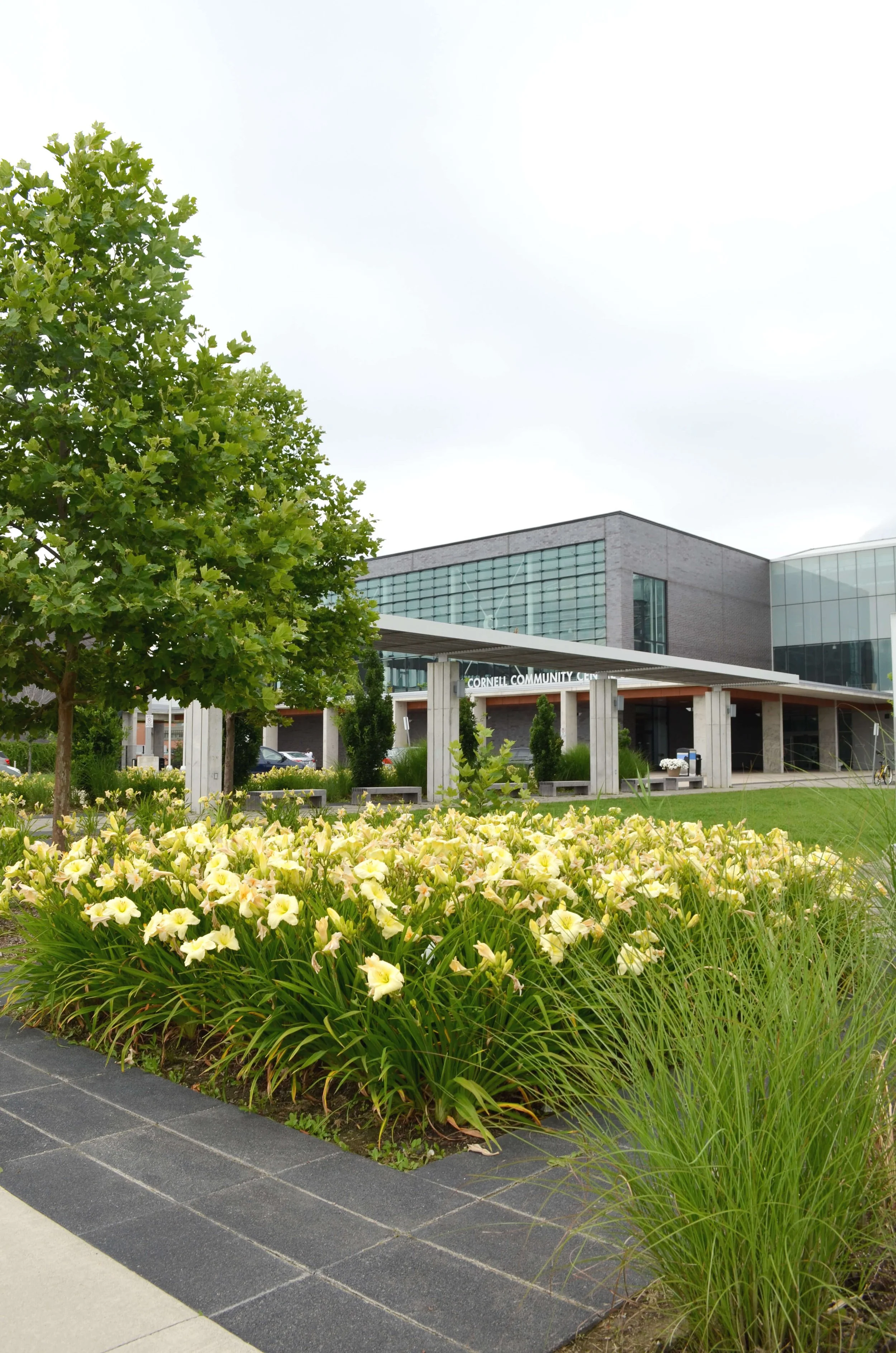 Cornell Community Centre and Library — the mbtw group