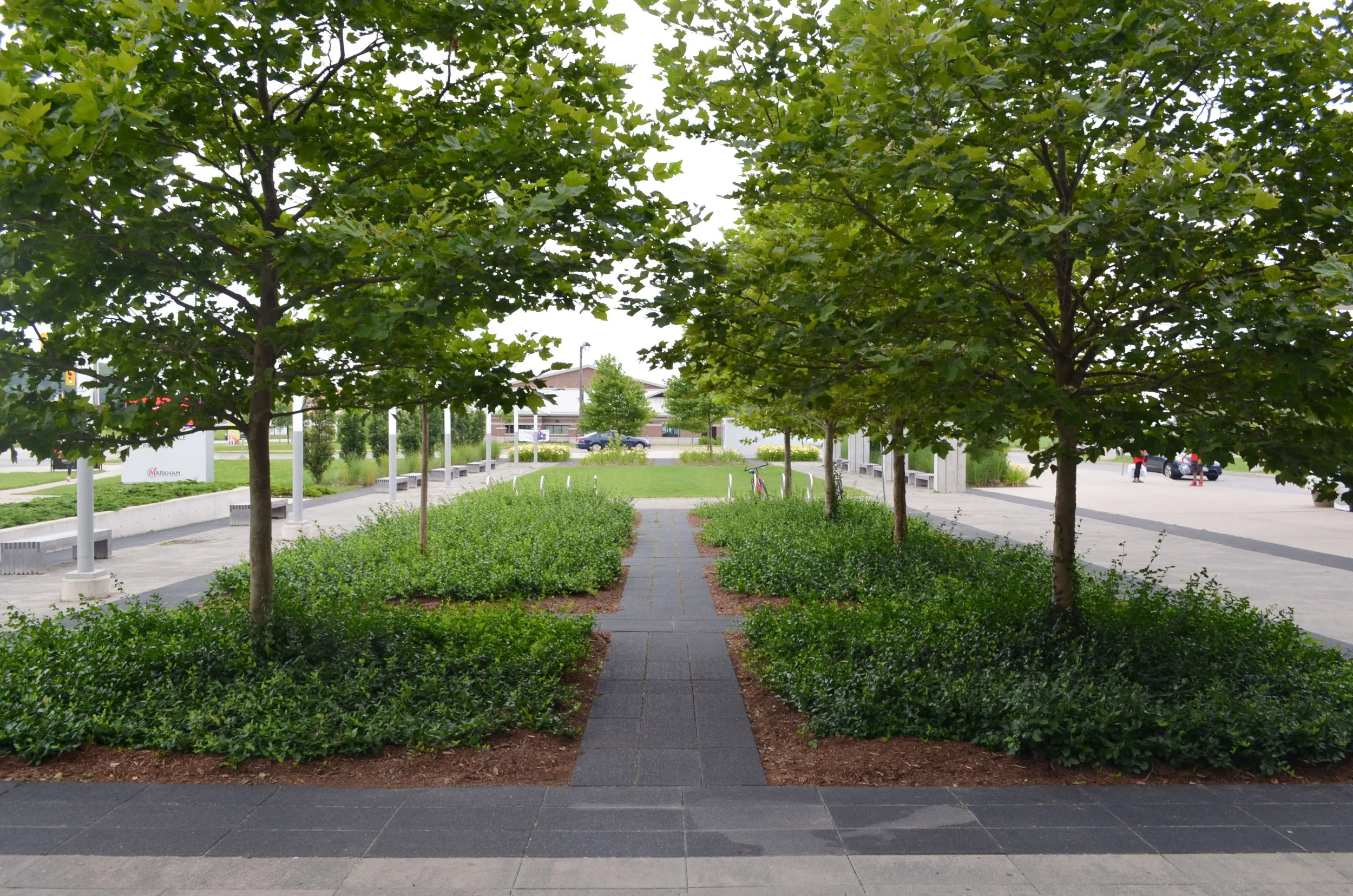 Cornell Community Centre and Library — the mbtw group