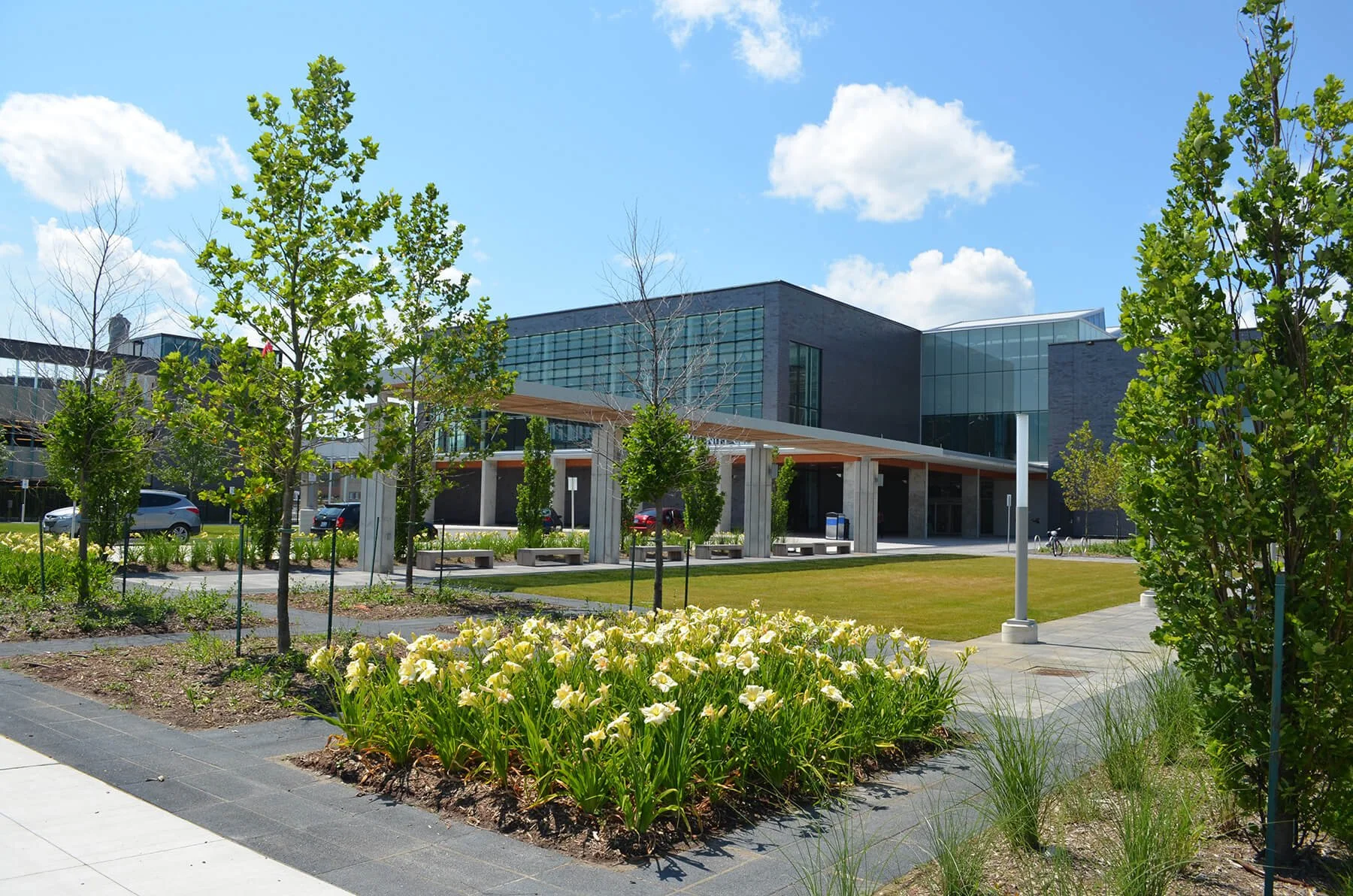 Cornell Community Centre and Library — the mbtw group
