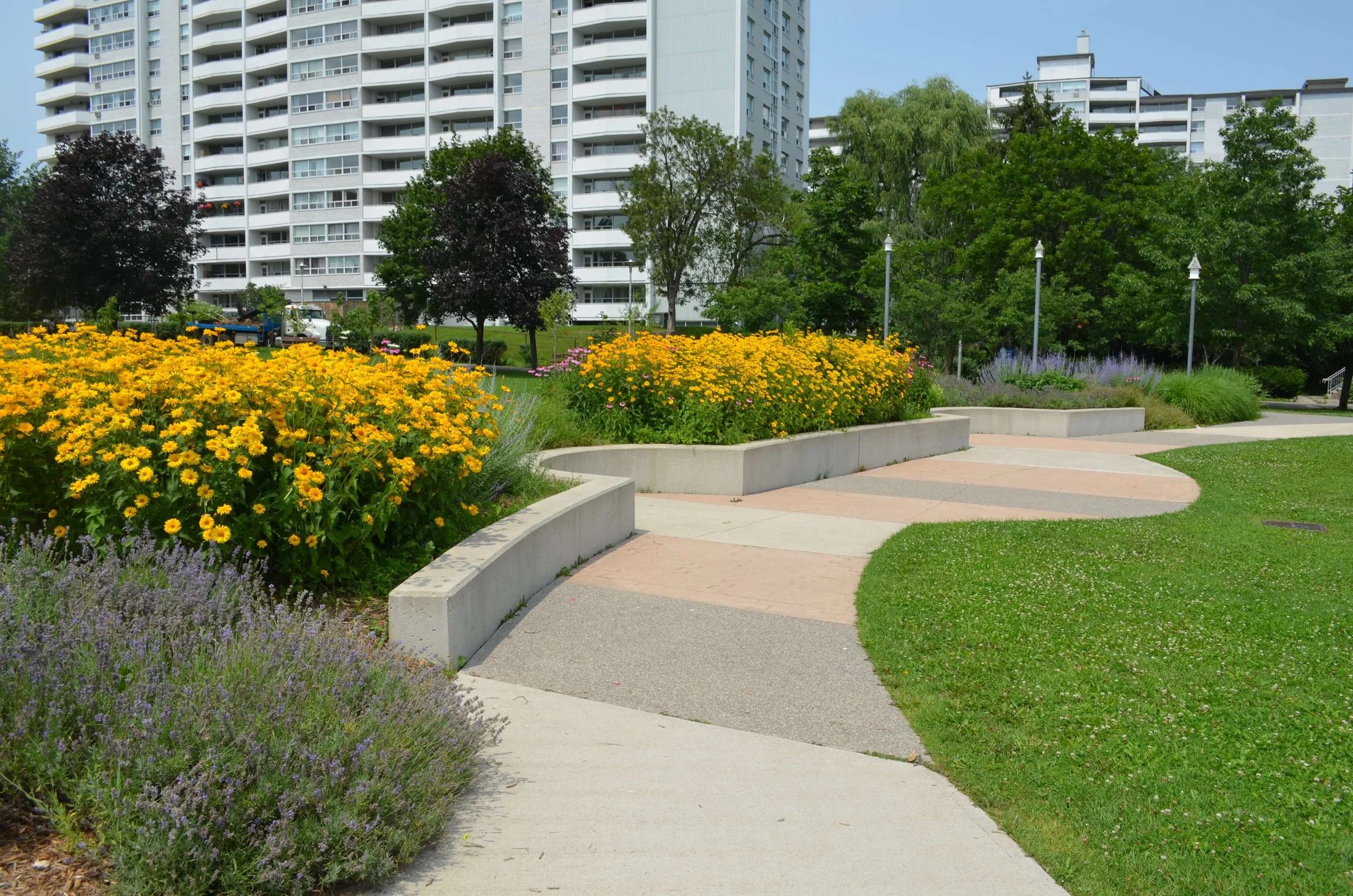 Earl Bales Park — the mbtw group