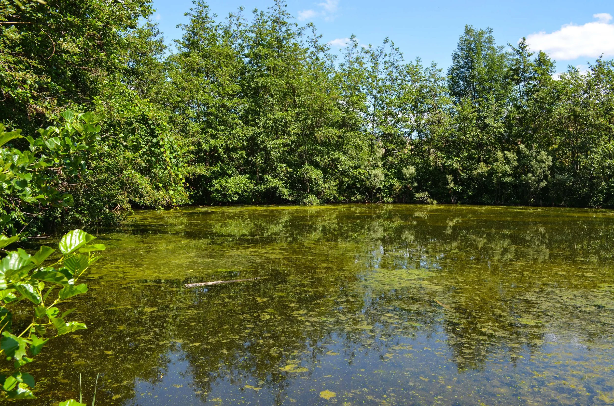 Samuel Lount Park — the mbtw group
