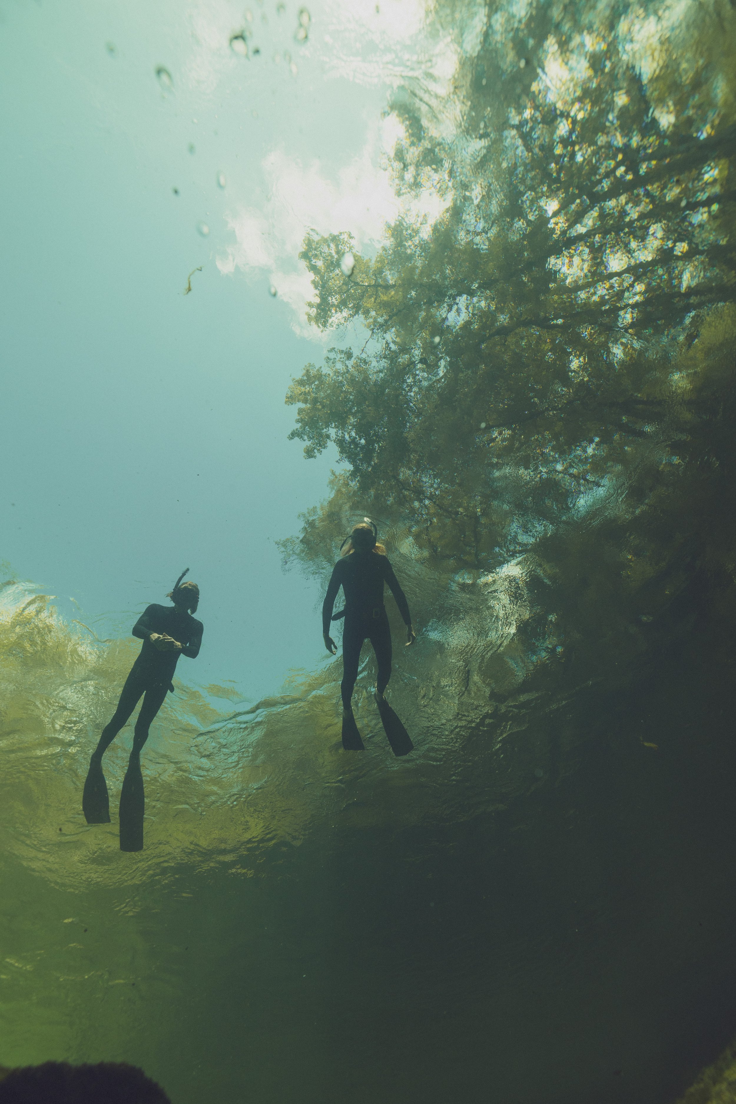 What Lies Beneath — Lloyd Wilkinson