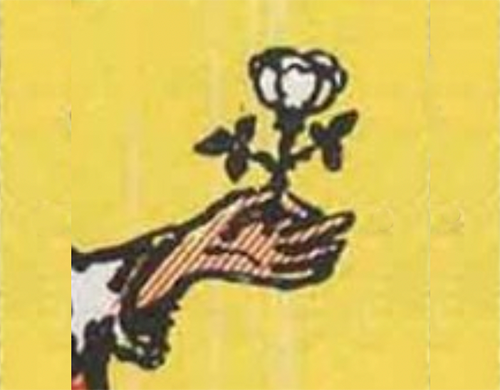 Offerings — Tomorrow Tarot