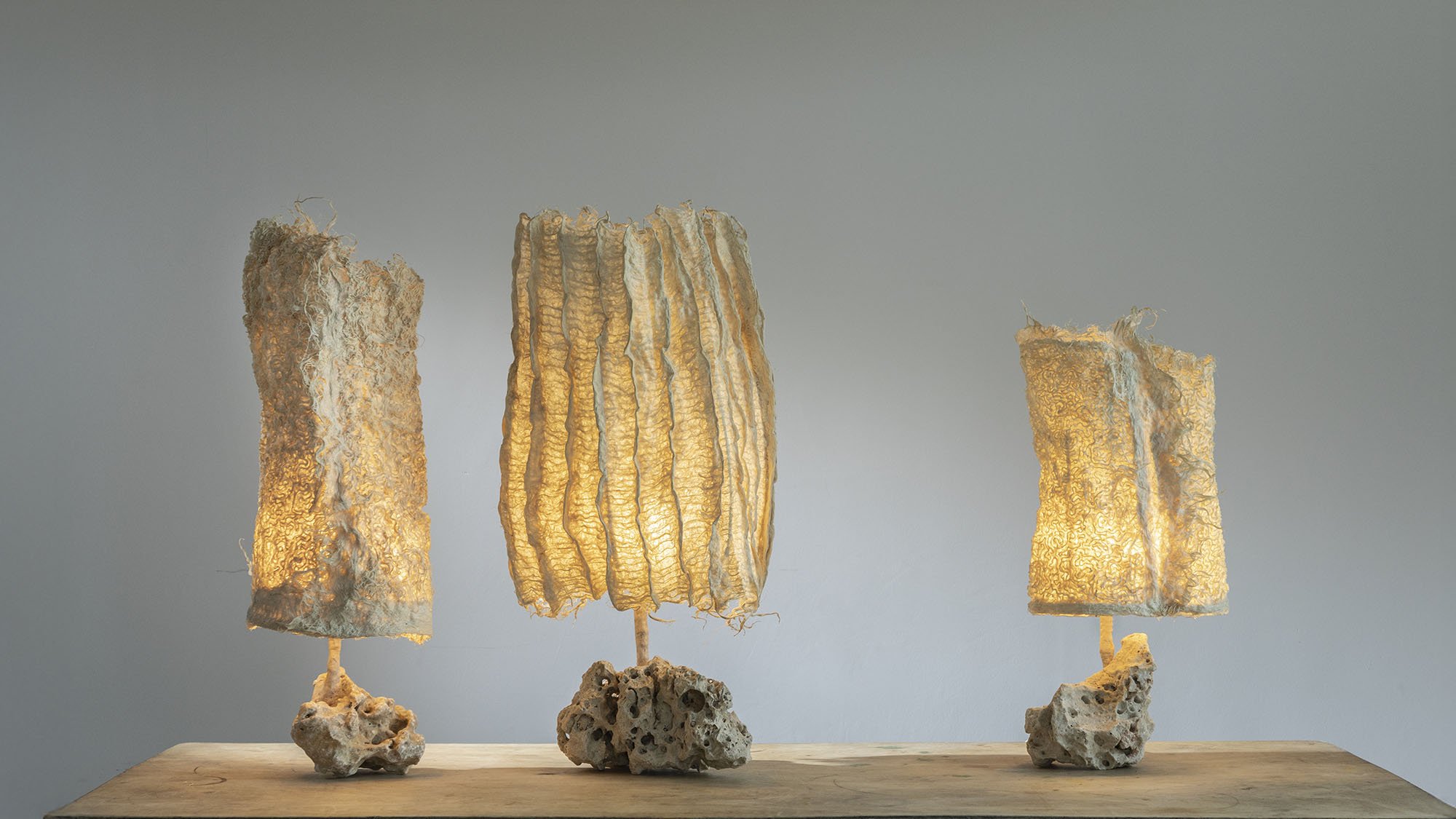 Sustainable Lighting: The Future is Grown, Not Made — Rootfull