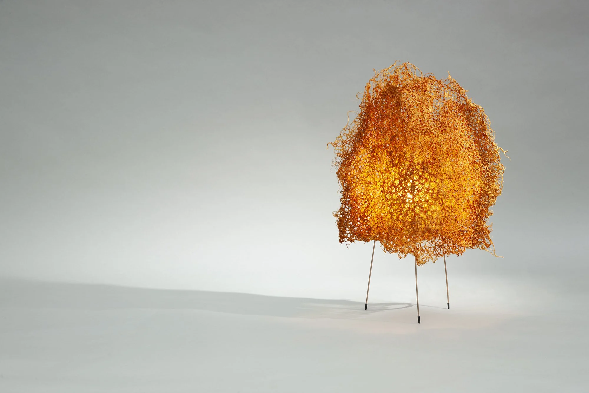 Material innovation and bio-design - crafting new materials for the ...