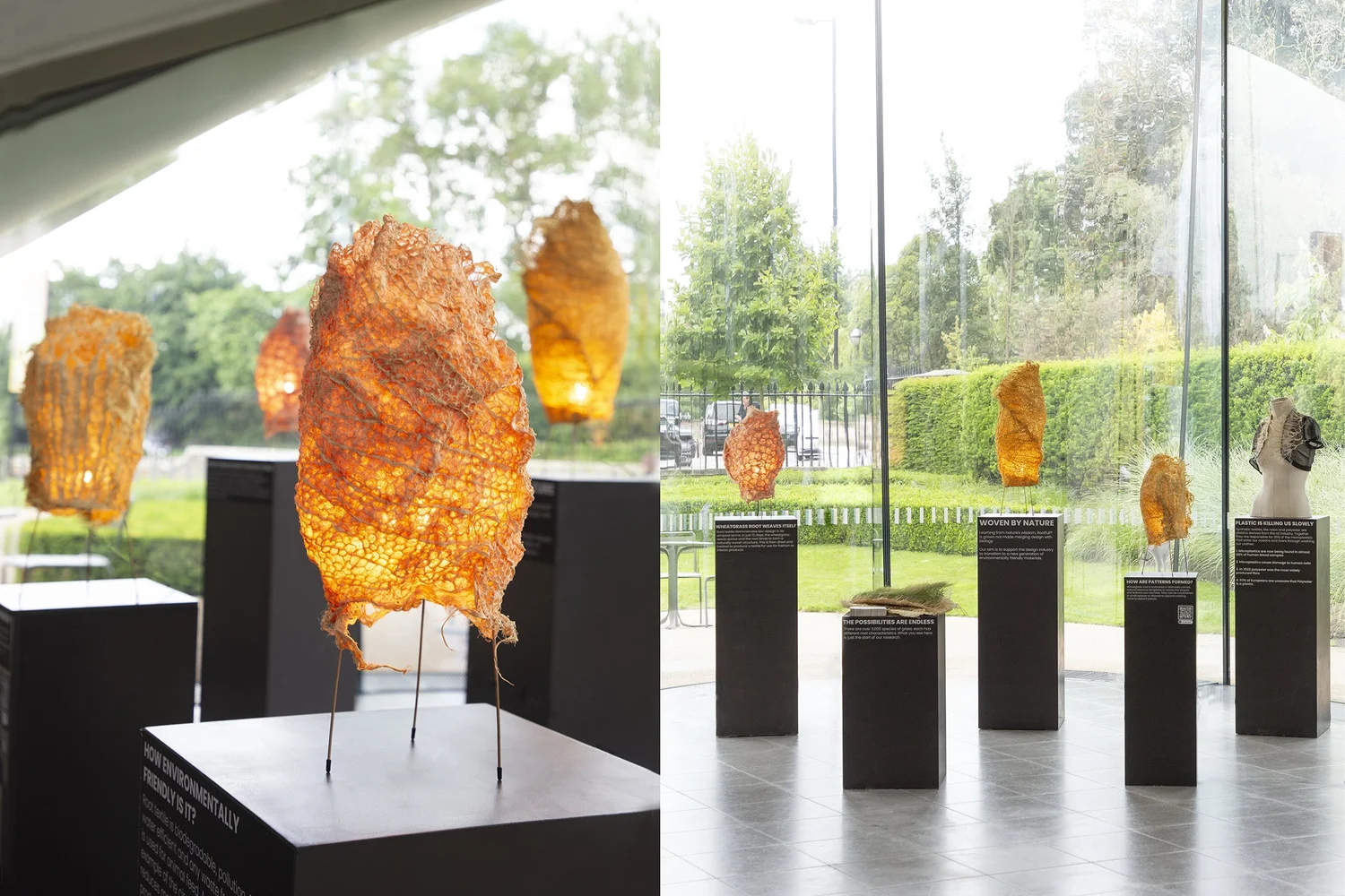 Material innovation and bio-design - crafting new materials for the ...