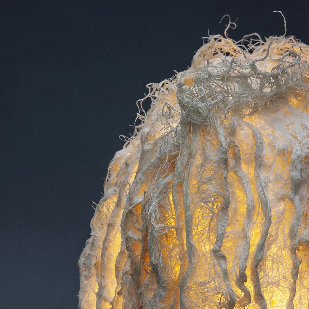 Harnessing the power of plant roots to grow one-of-a-kind textile.