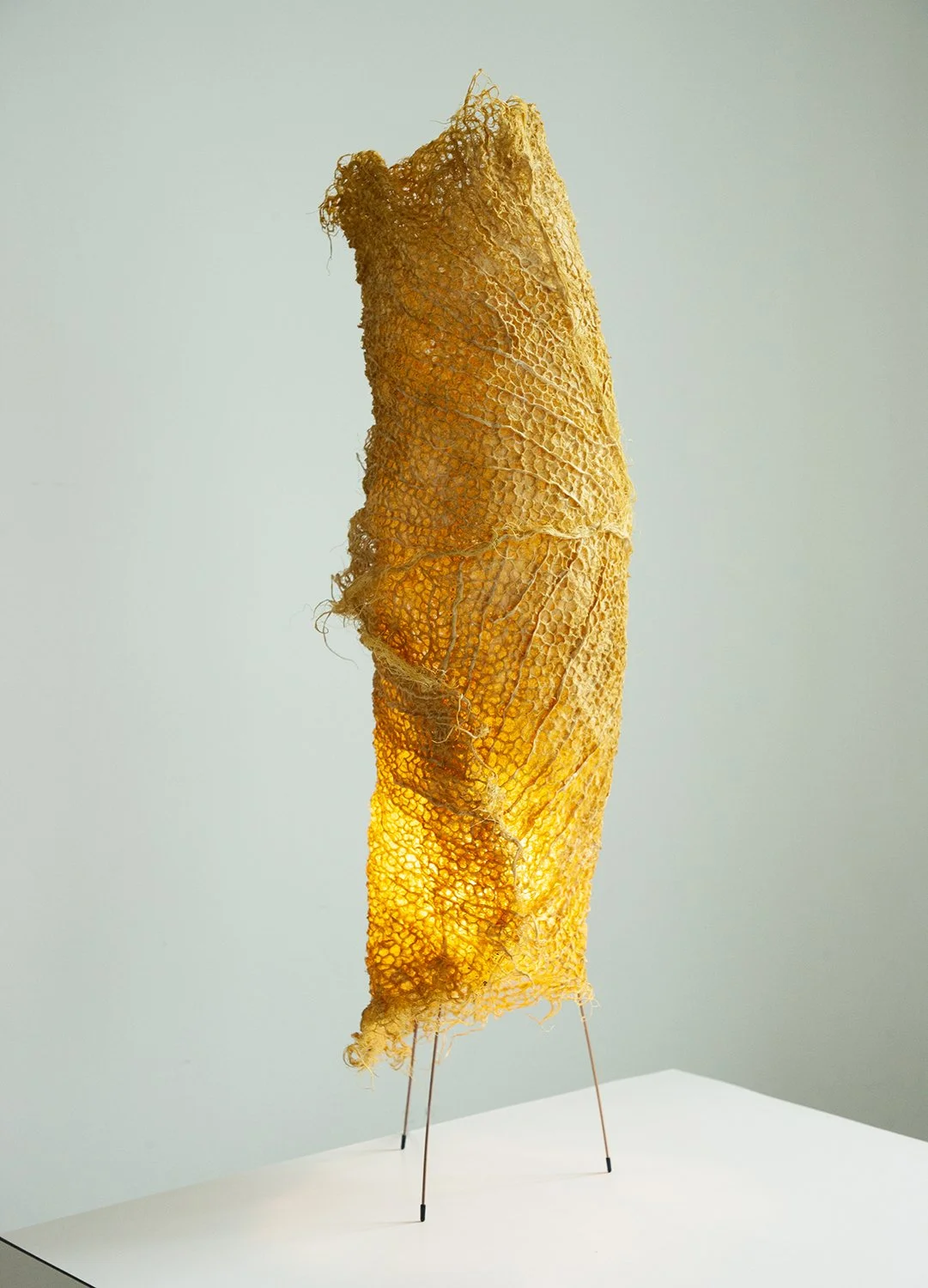 Contemporary bio-design and unique pieces crafted from root — Rootfull