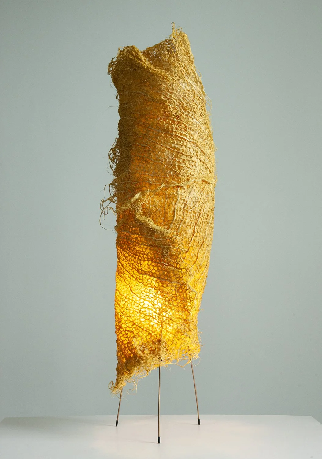 Contemporary bio-design and unique pieces crafted from root — Rootfull