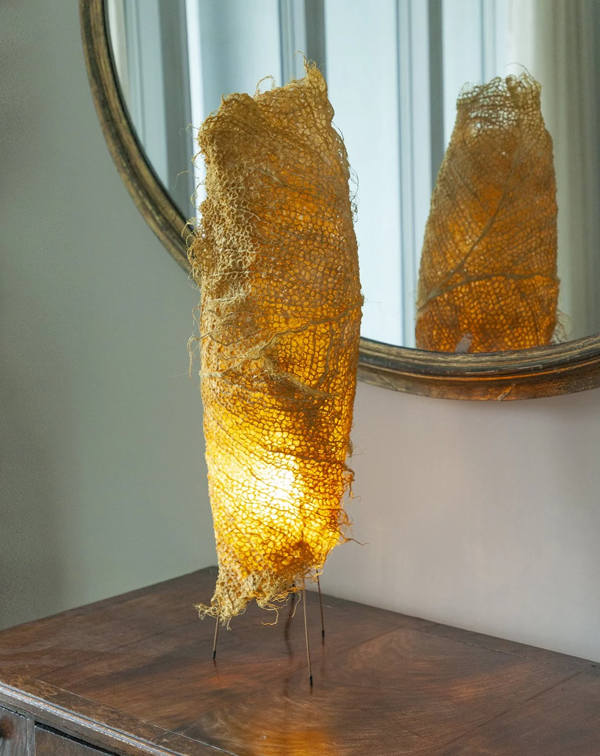 Contemporary bio-design and unique pieces crafted from root — Rootfull