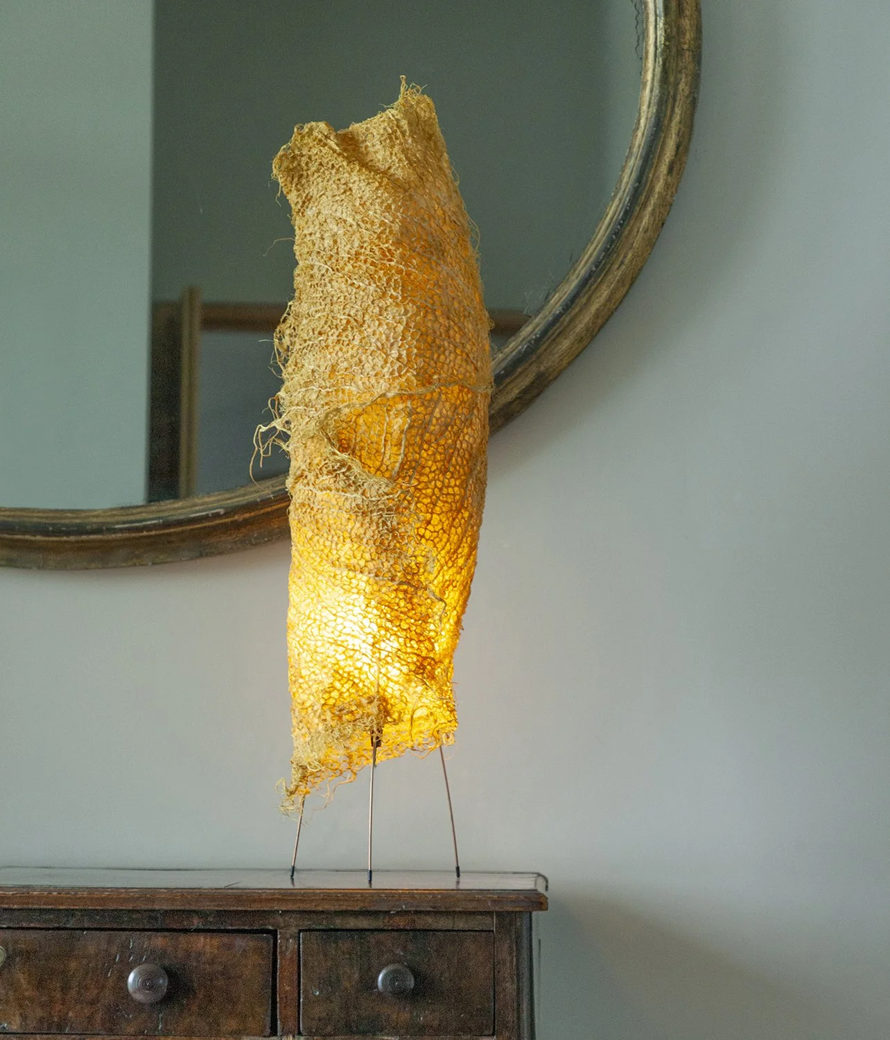 Contemporary bio-design and unique pieces crafted from root — Rootfull