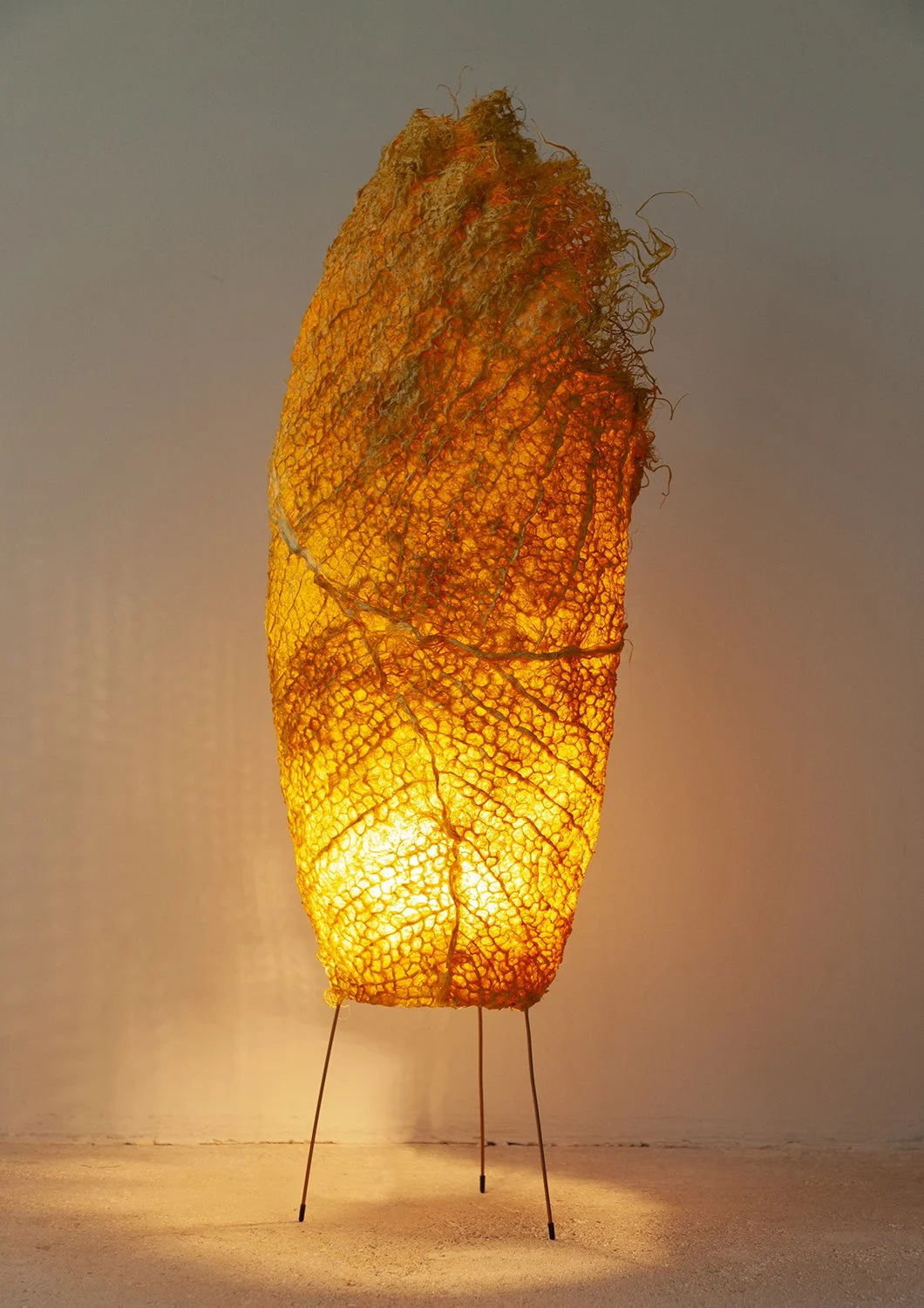 Contemporary bio-design and unique pieces crafted from root — Rootfull