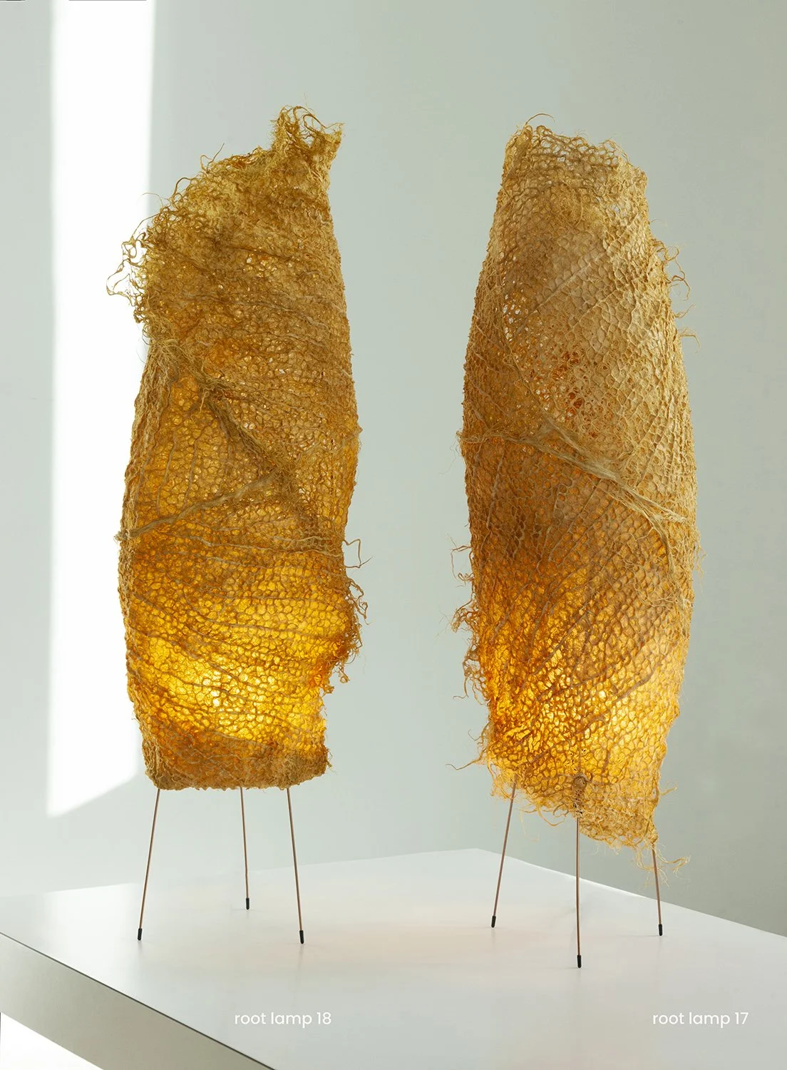 Contemporary bio-design and unique pieces crafted from root — Rootfull