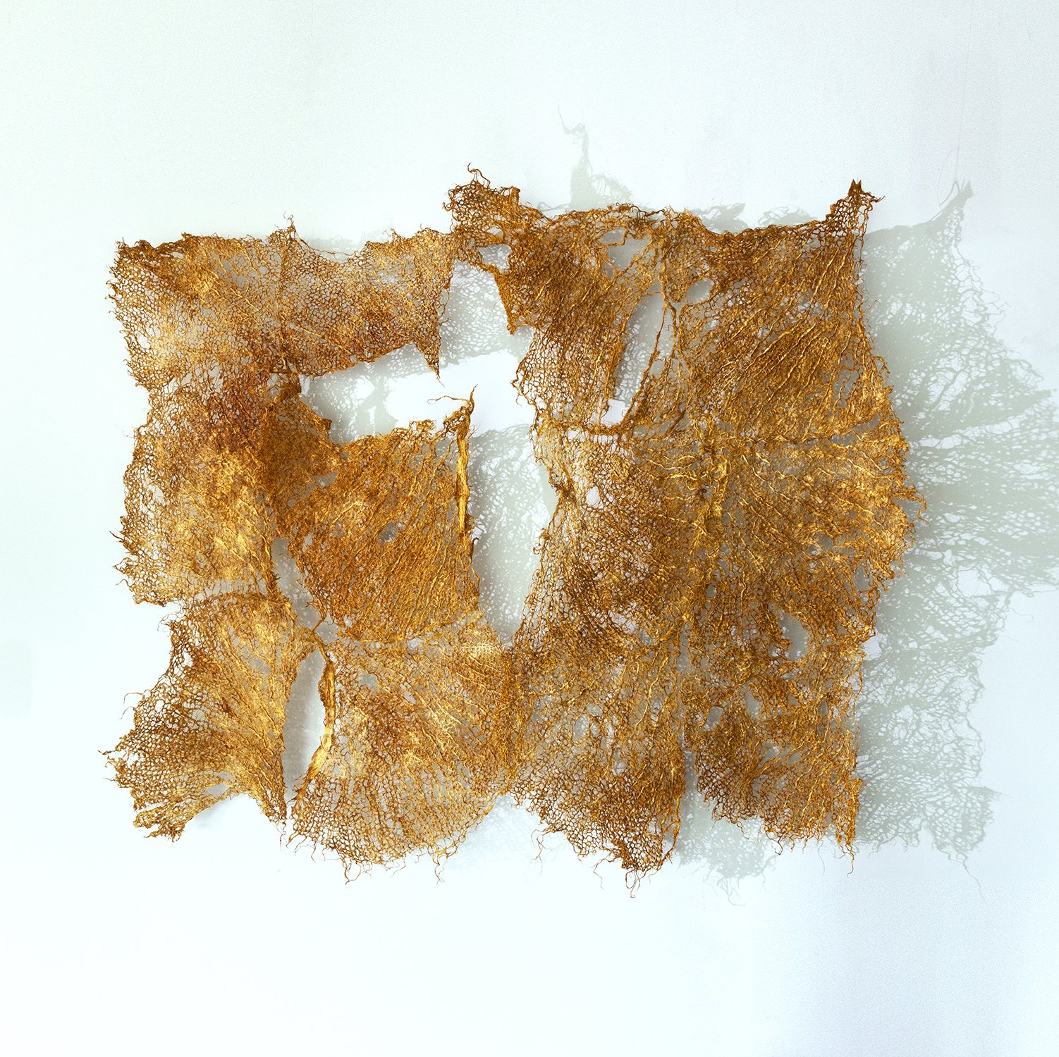Contemporary bio-design and unique pieces crafted from root — Rootfull