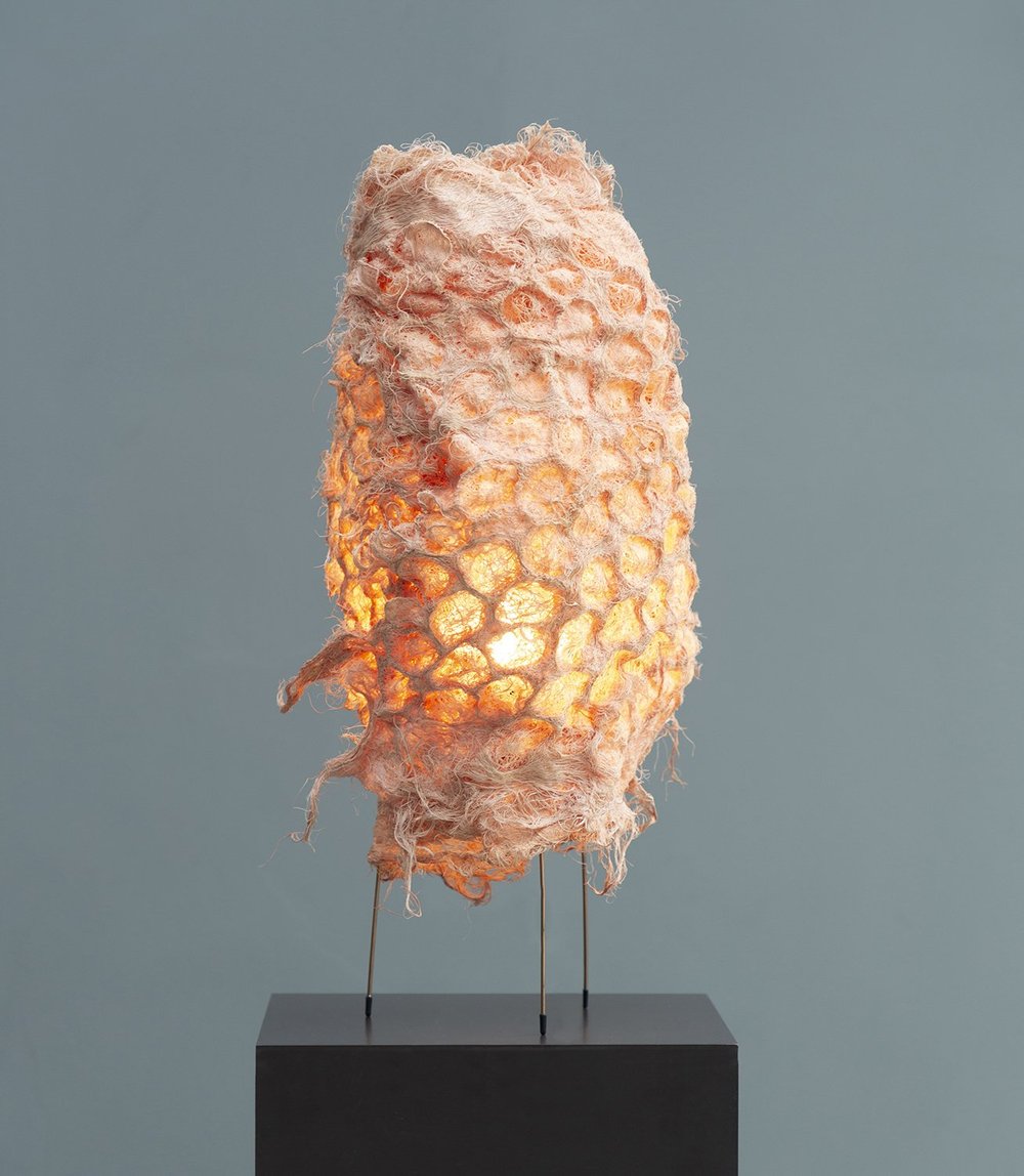 Contemporary bio-design and unique pieces crafted from root — Rootfull