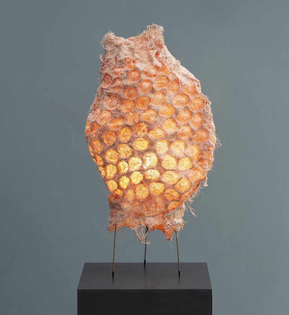 Contemporary bio-design and unique pieces crafted from root — Rootfull