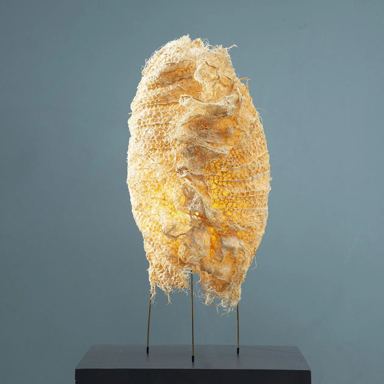 Contemporary bio-design and unique pieces crafted from root — Rootfull