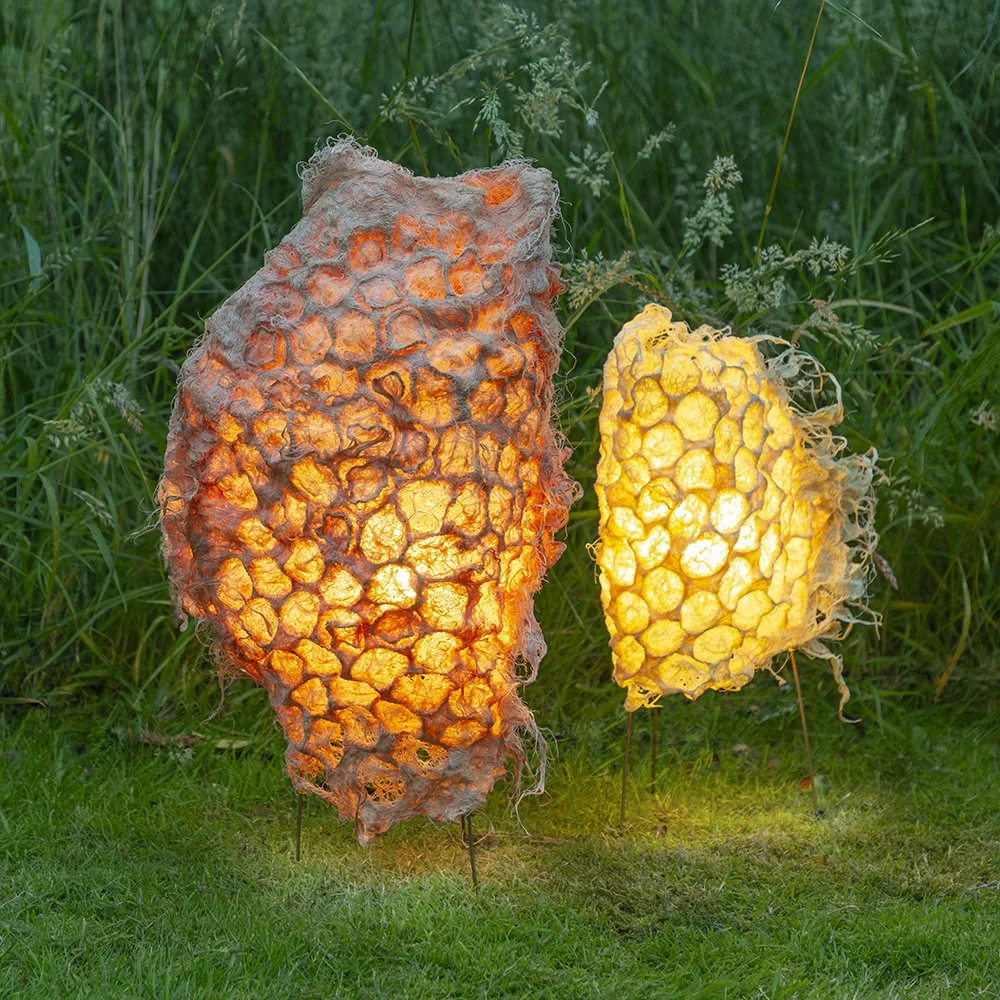 Material innovation and bio-design - crafting new materials for the ...