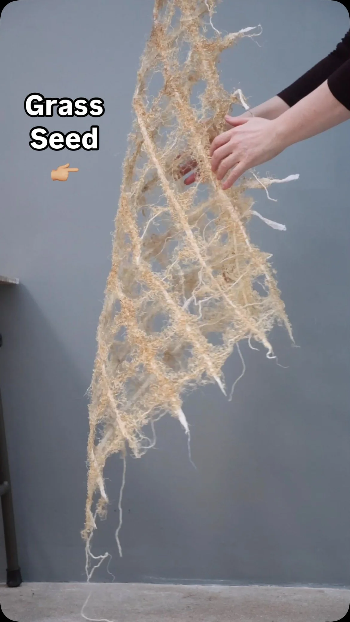 Rootfull is a creative studio that crafts plant root, as it grows.