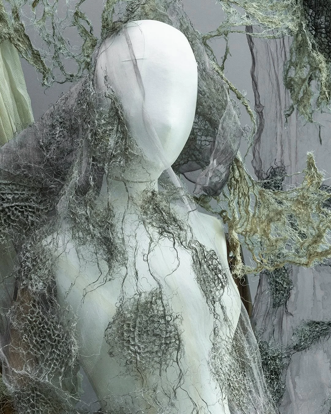 Rootfull is a creative studio that crafts plant root, as it grows.