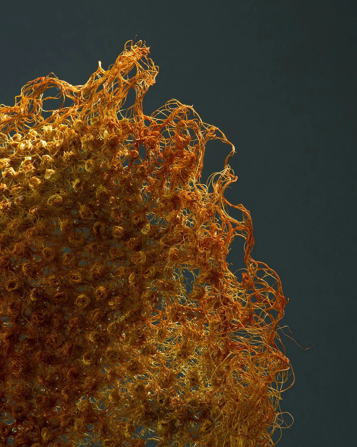 Introducing a revolutionary new textile, grown from plant root. — Rootfull