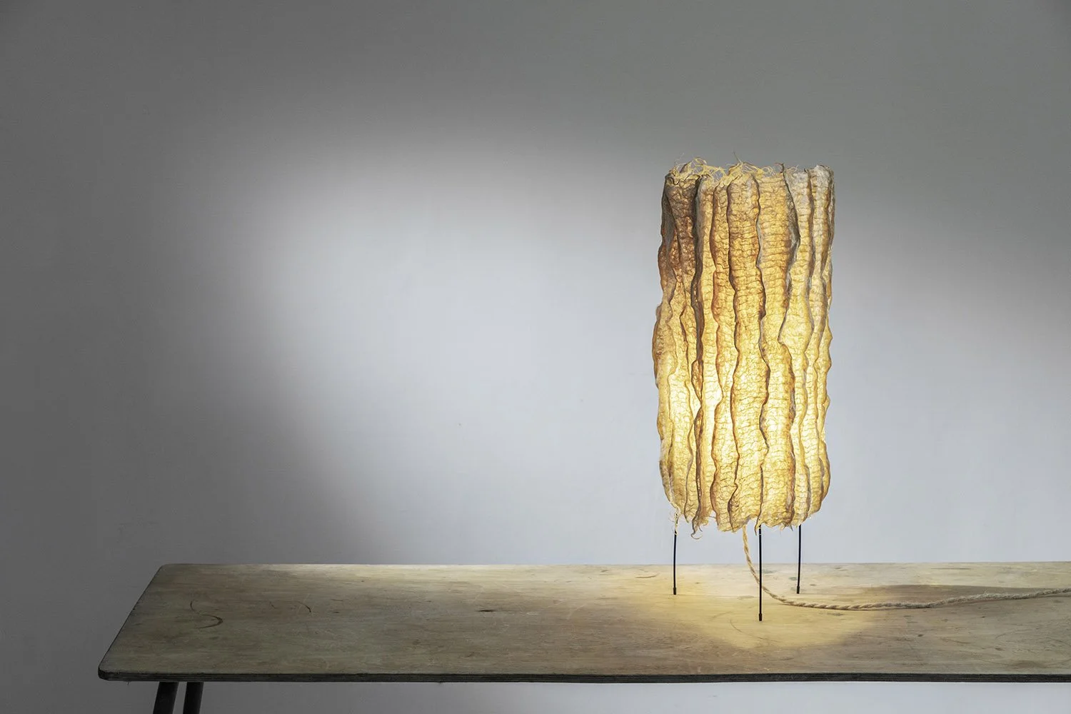 Biophilic Lamps, grown and crafted from root — Rootfull