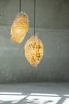 Contemporary bio-design and unique pieces crafted from root — Rootfull