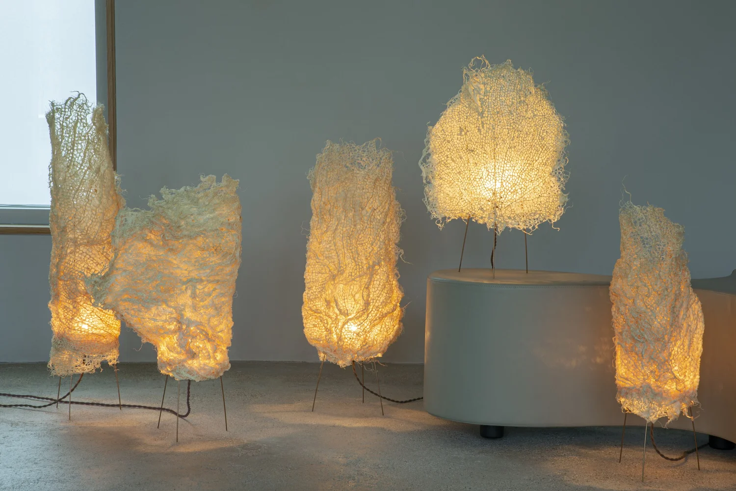 Material innovation and bio-design - crafting new materials for the ...