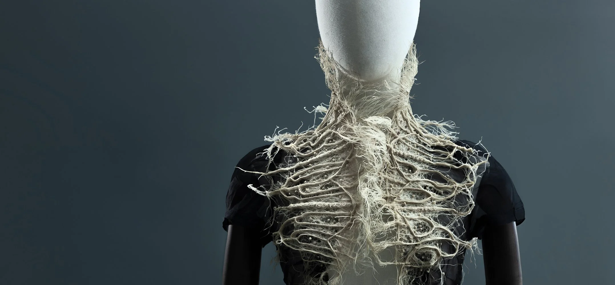 Rootfull Grows Lighting Craft From Plant Root