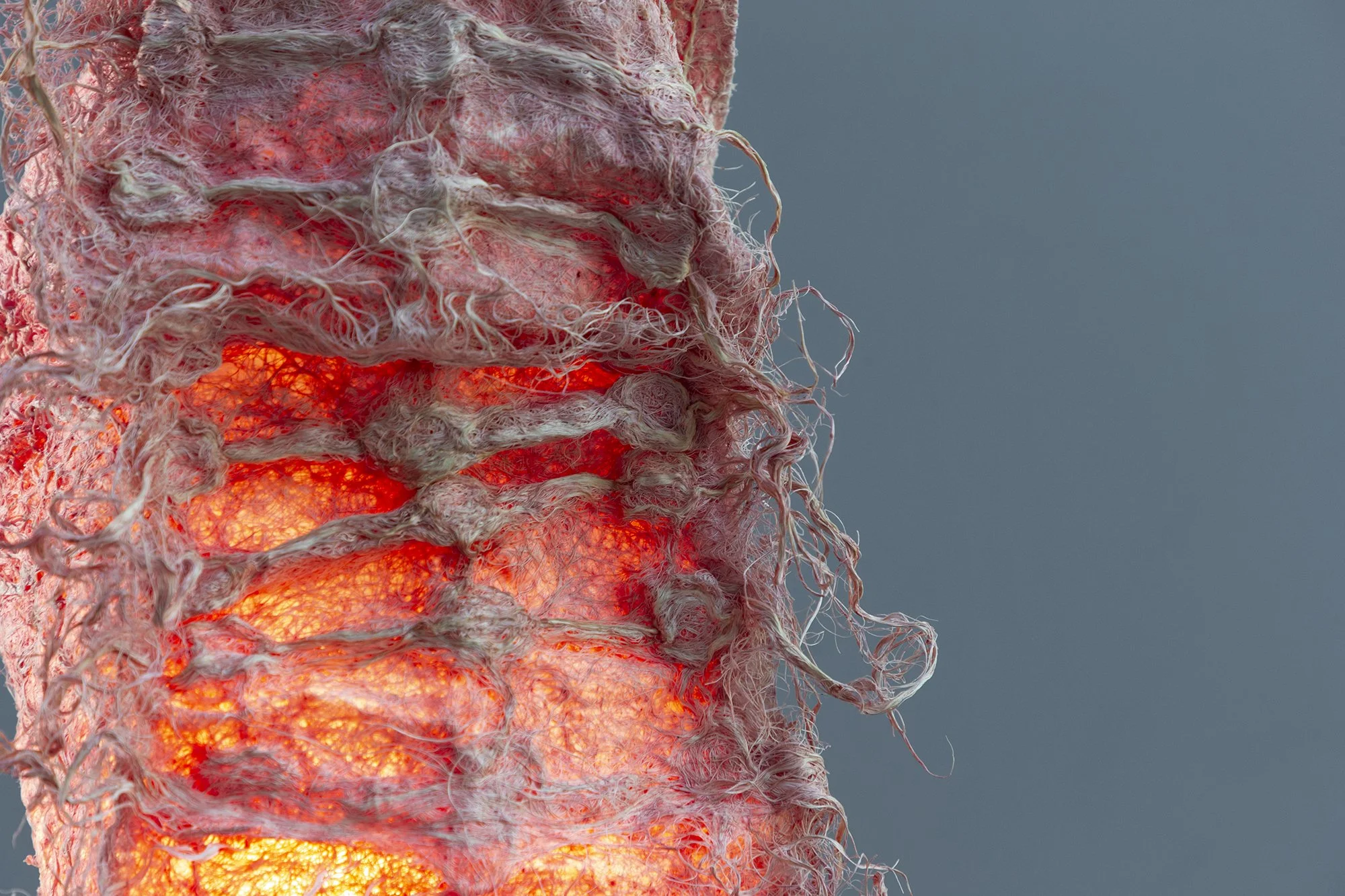 Material innovation and bio-design - crafting new materials for the ...