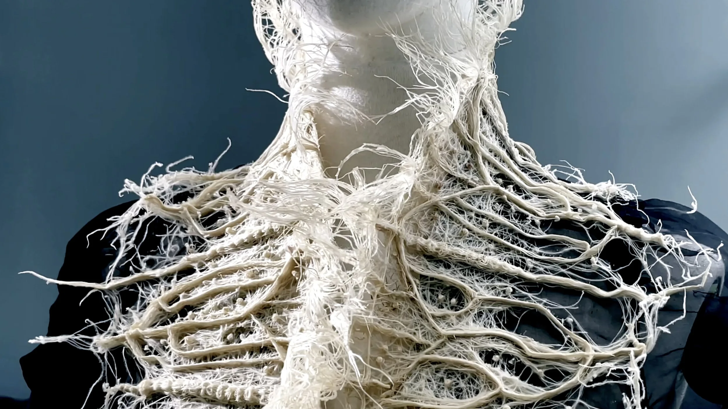 Harnessing the power of plant roots to grow one-of-a-kind textile.