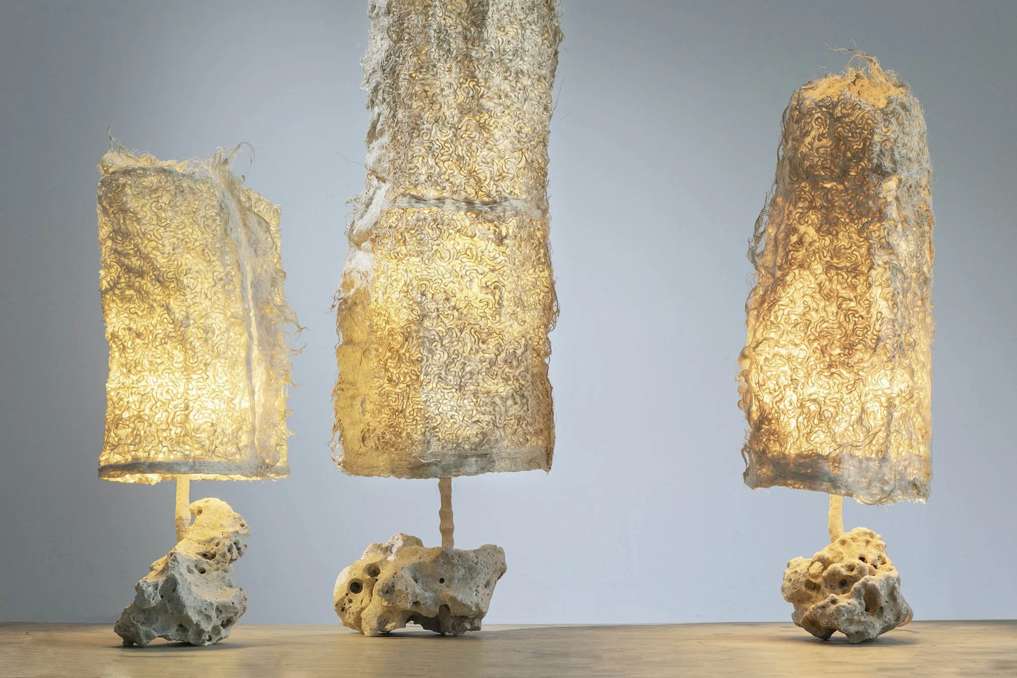 Sustainable Lighting: The Future is Grown, Not Made — Rootfull