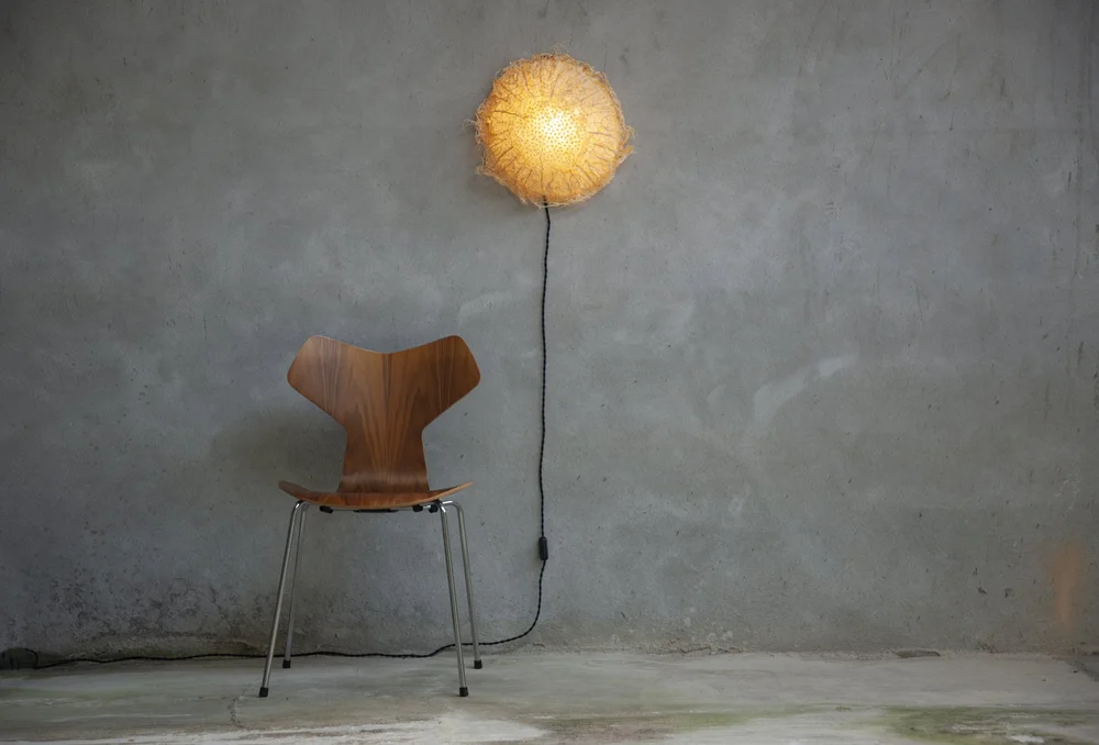 Material innovation and bio-design - crafting new materials for the ...