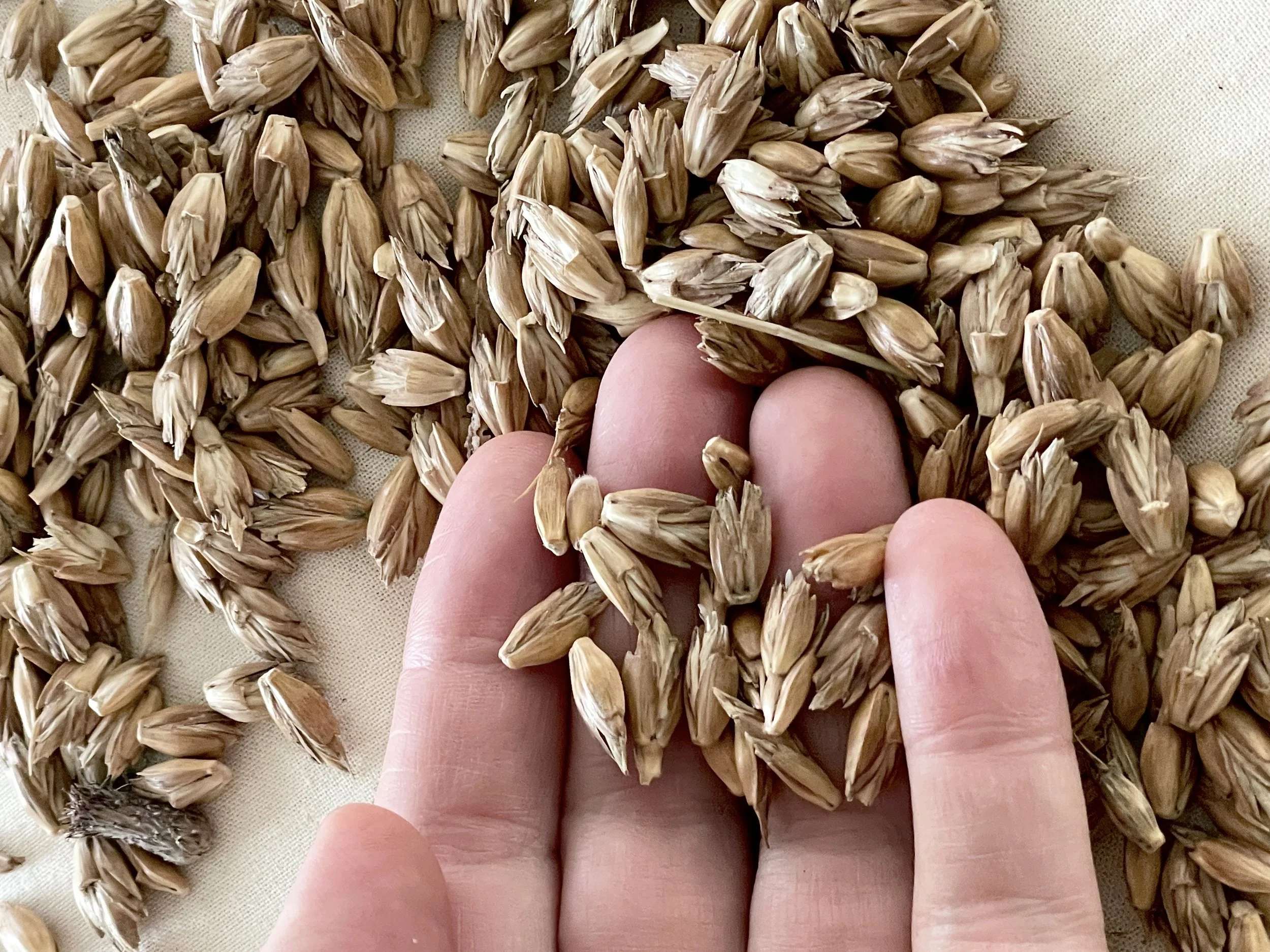 Zena Holloway is a photographer, maker and material innovator. She ...