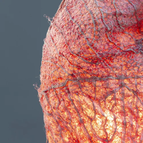 Contemporary bio-design and unique pieces crafted from root — Rootfull