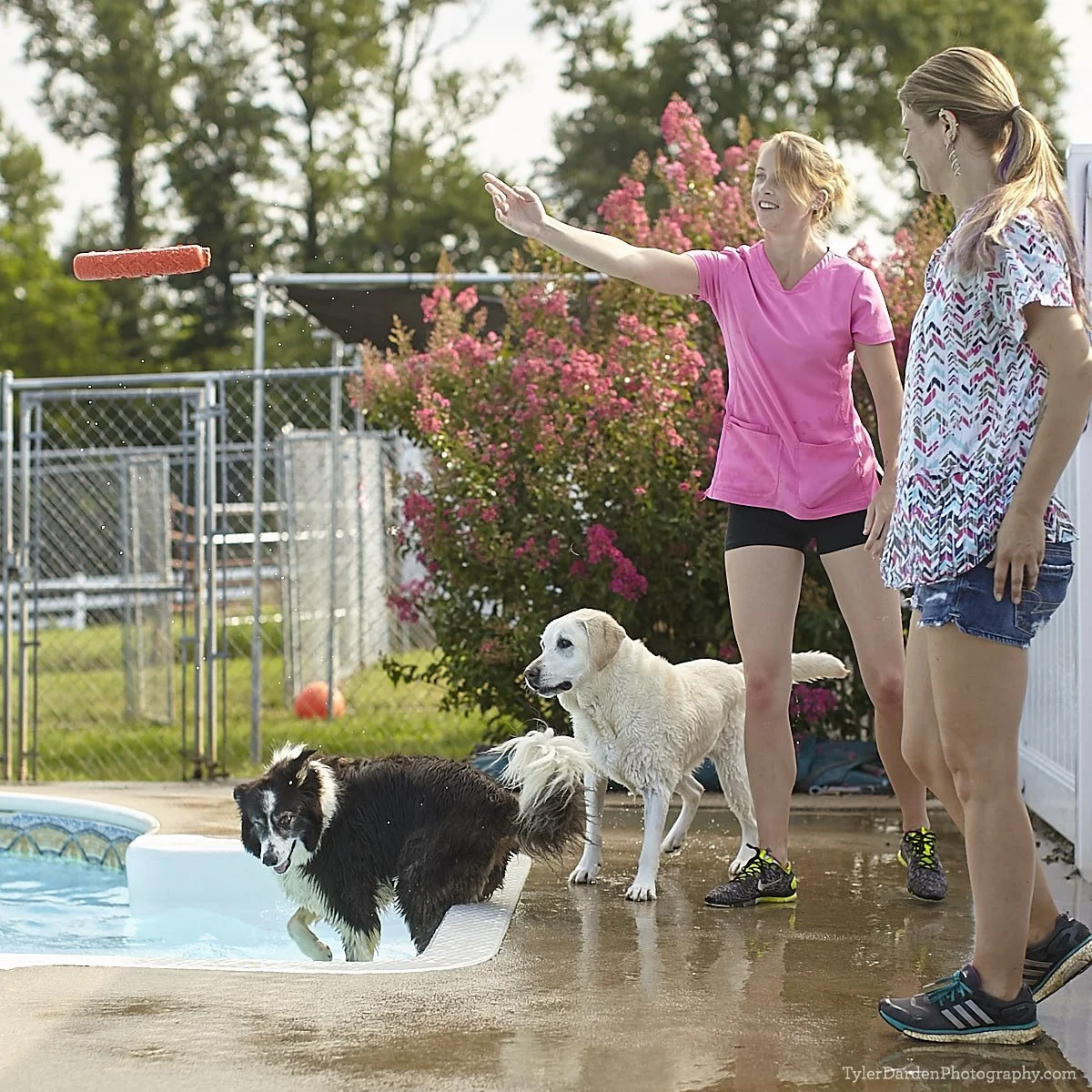 wingmont kennels