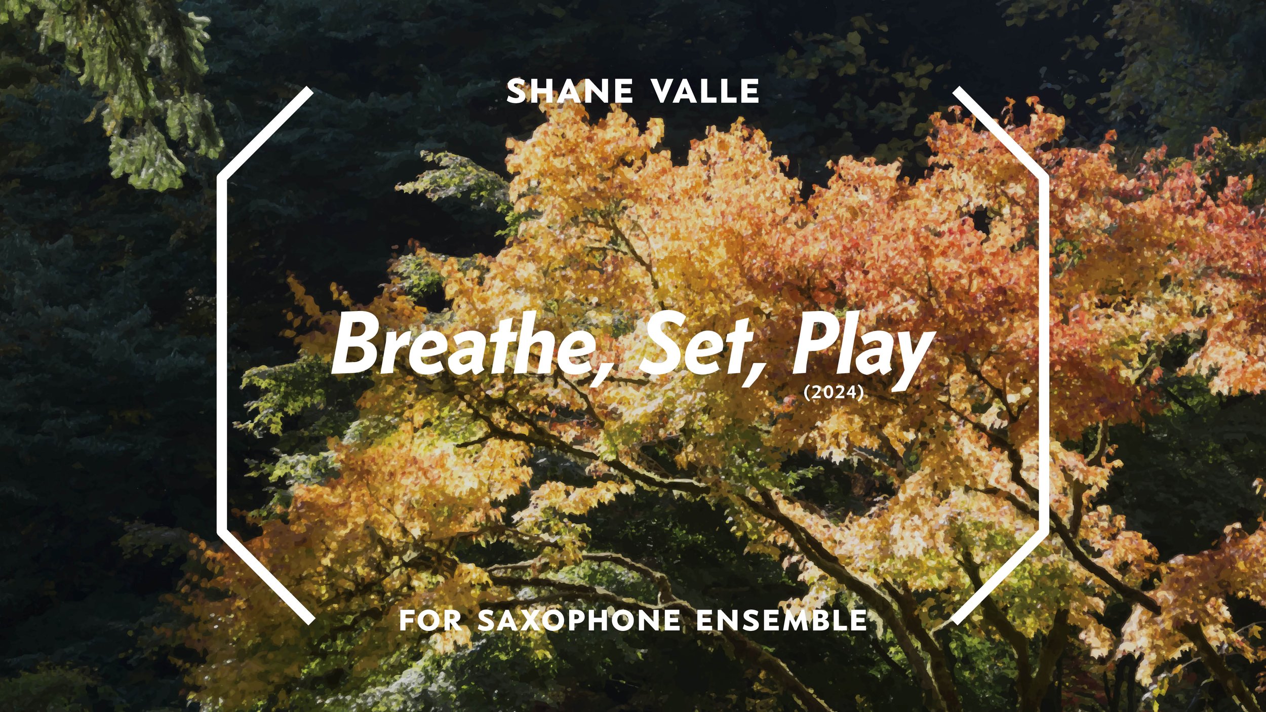 Works — Shane Valle