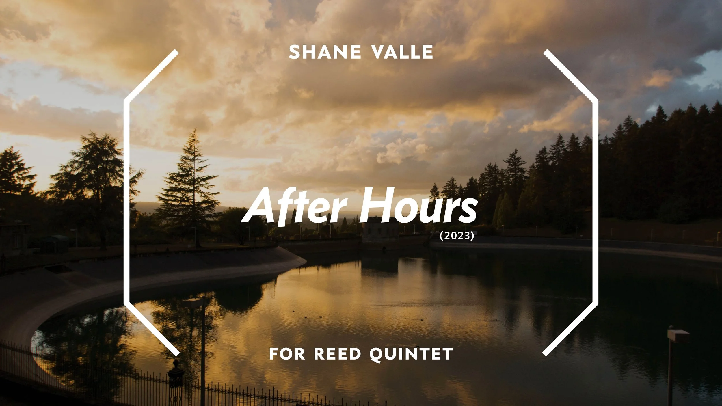 Works — Shane Valle