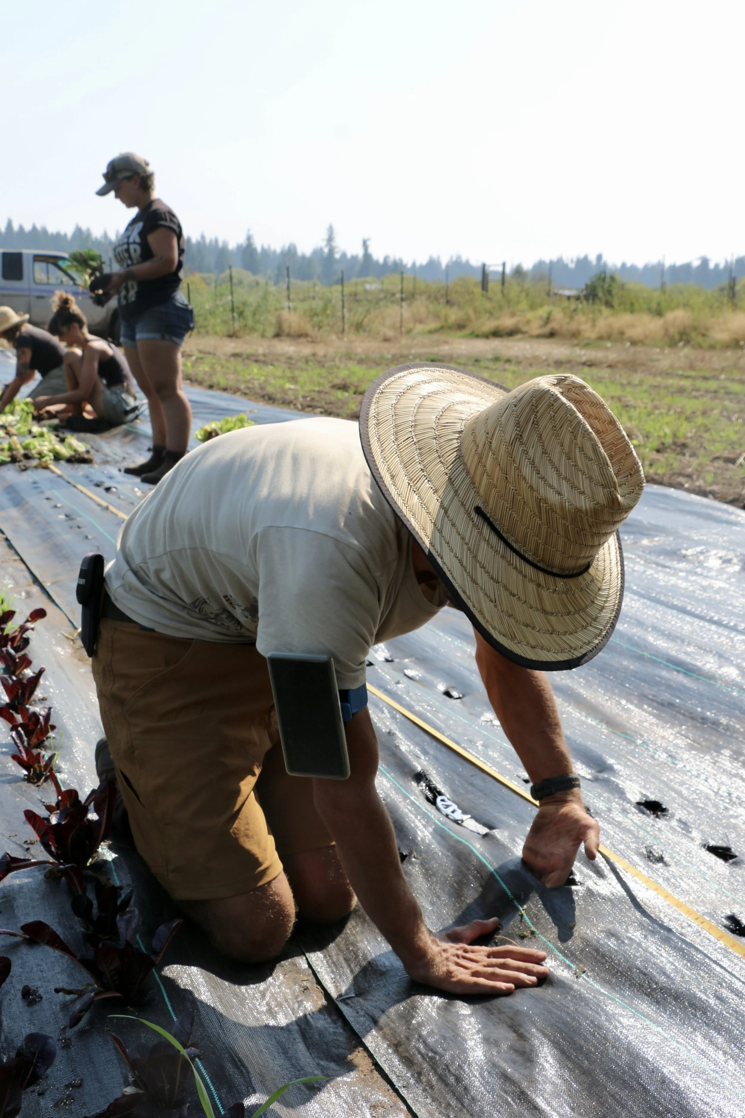 Farm Training — Organic Farm School