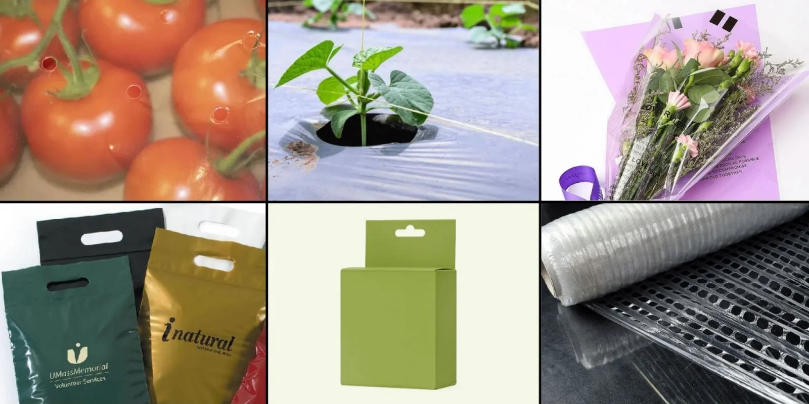 Perforated Packaging: Types, Benefits & Applications | Spark Machinery