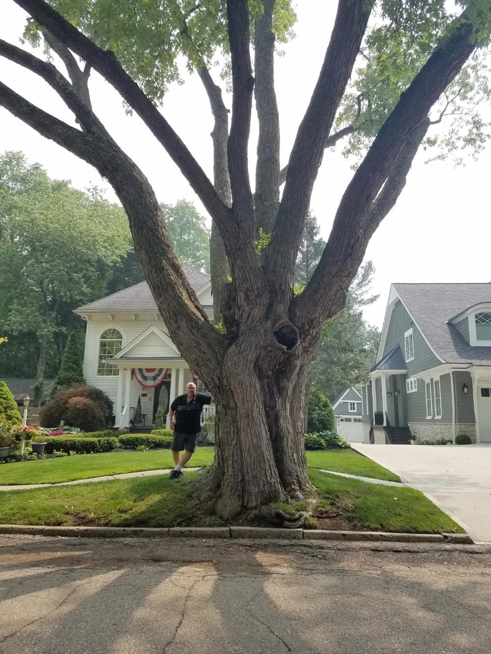 Northville Tree Champions