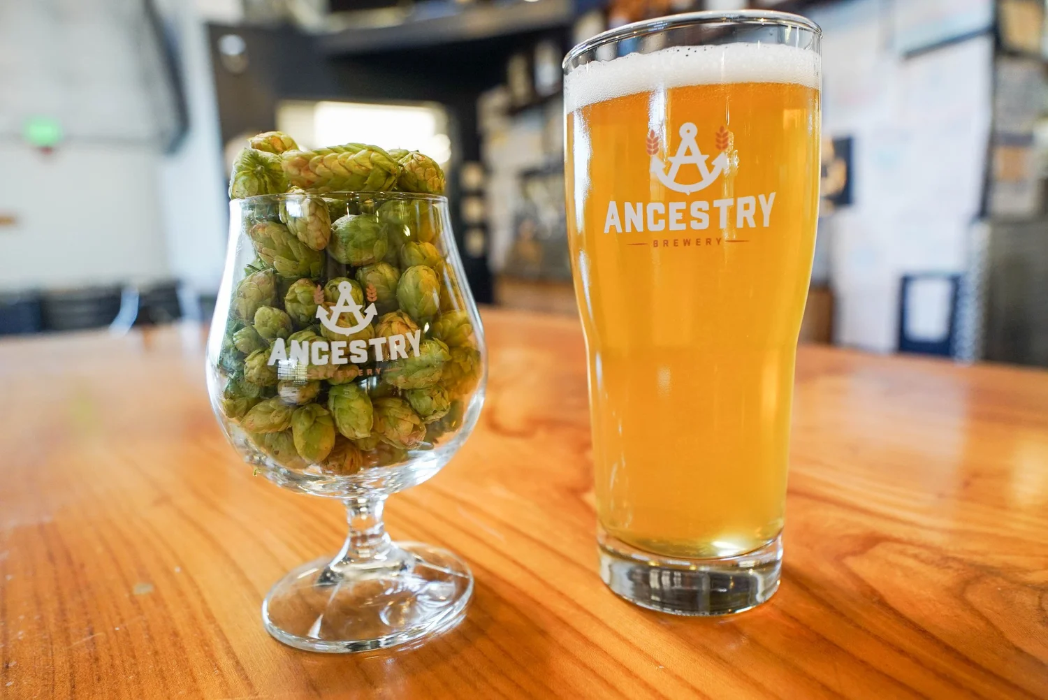 ANCESTRY BREWING
