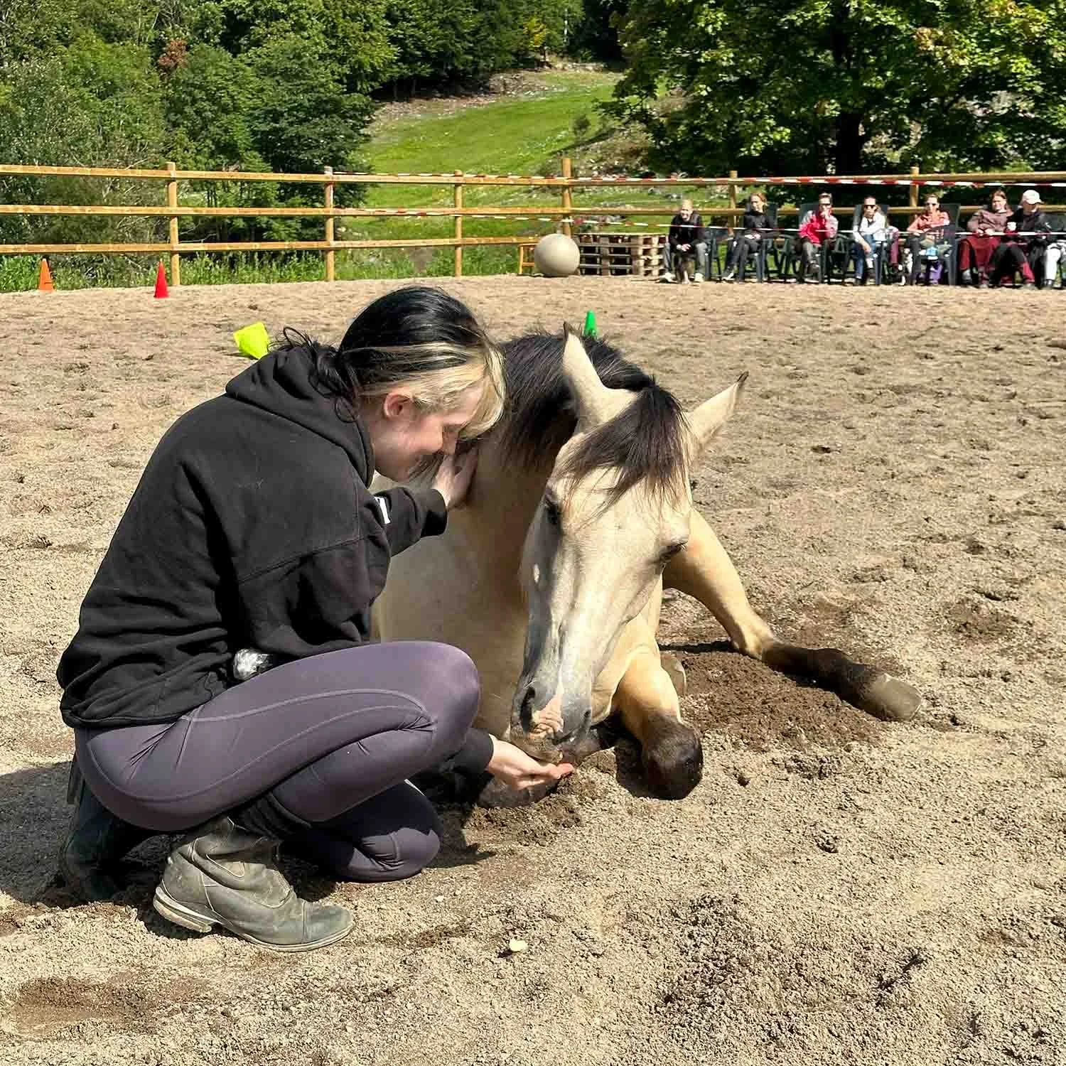 Kurs og undervisning — Frihest — Frihest