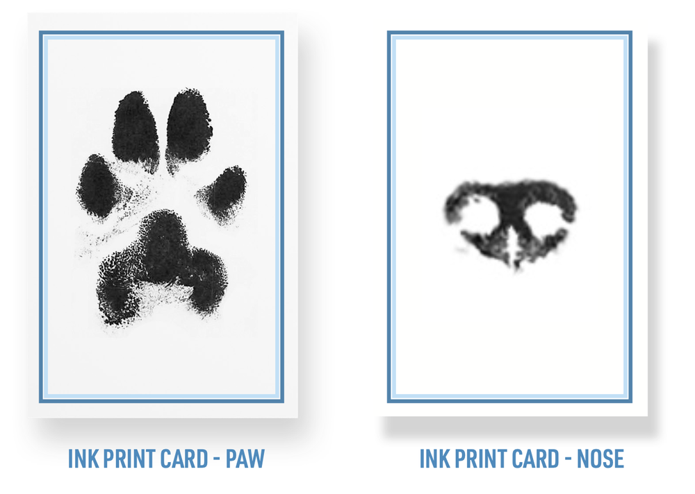 Pricing and Services — Full Circle In-Home Pet Euthanasia