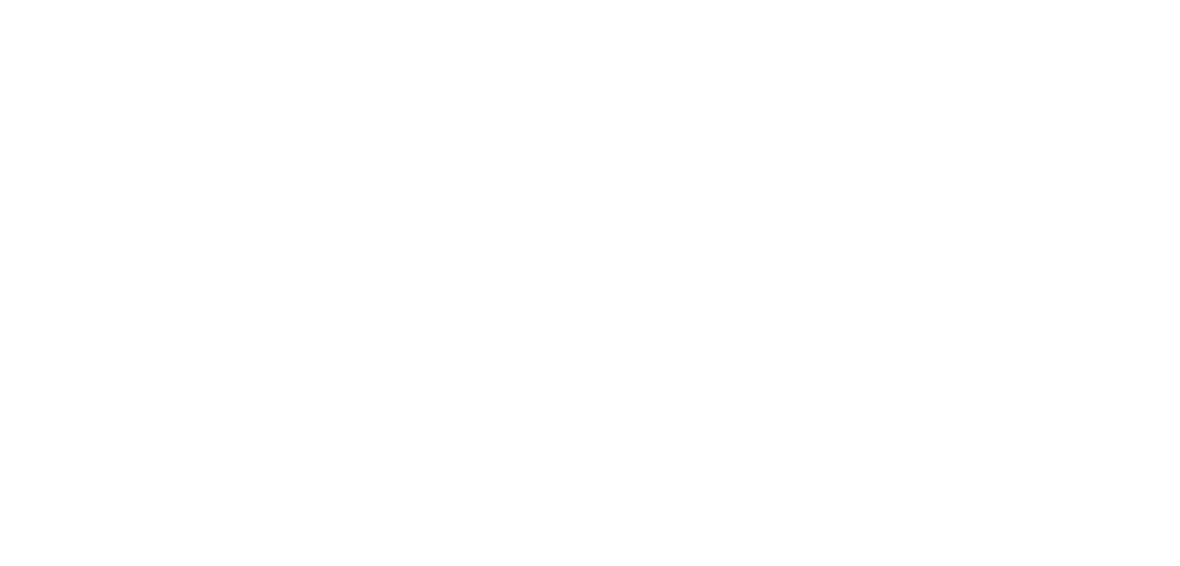 Investment Deep Dive: — Greywolfe Investing