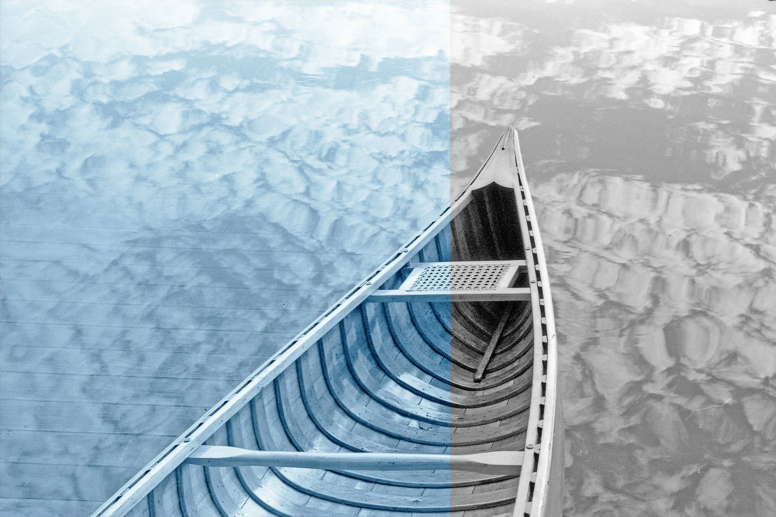 The Peter S. Reed Foundation